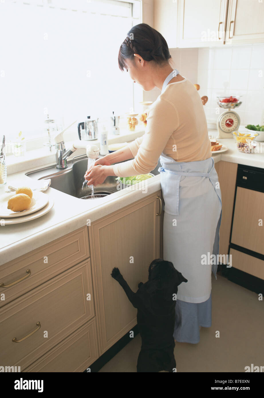Cooking in kitchen with dog Stock Photo - Alamy