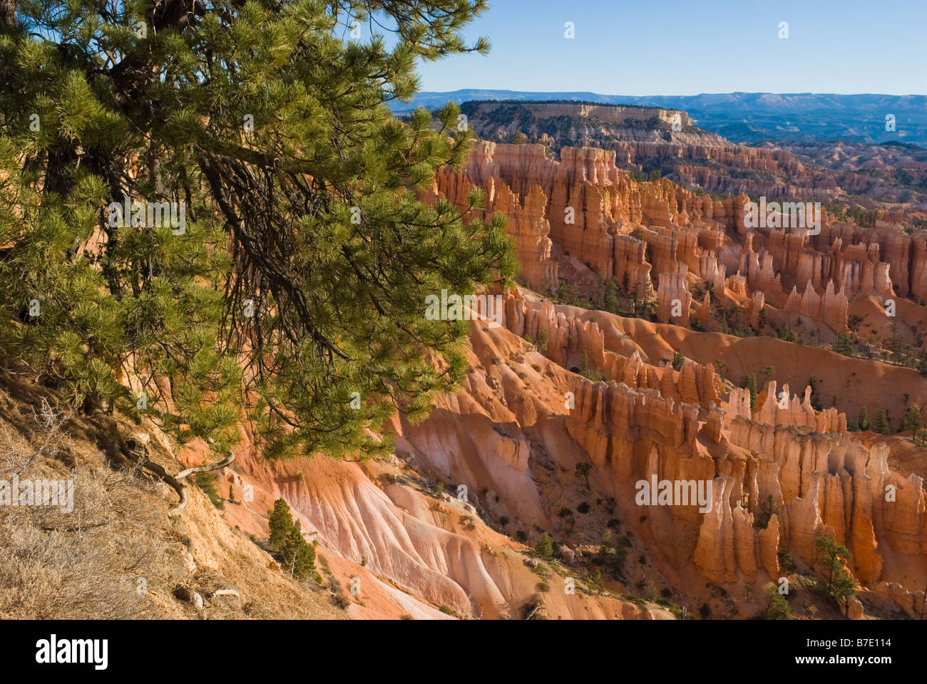 Rim of Bryce canyon national park Utah Stock Photo - Alamy