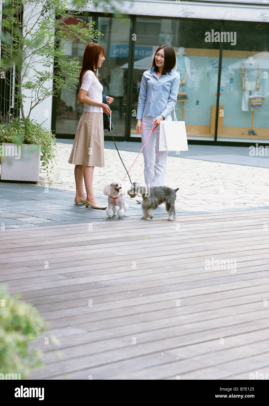 Two people walking talking dog city hi-res stock photography and images ...