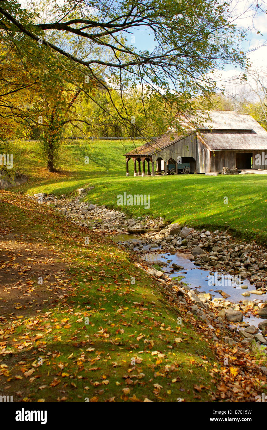 Old decrepit tree branch hi-res stock photography and images - Alamy