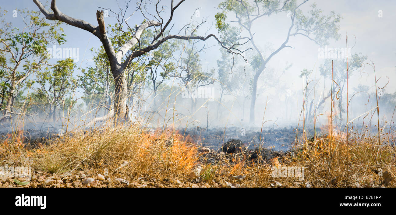 Controlled bush fire in Kakadu National Park Stock Photo - Alamy