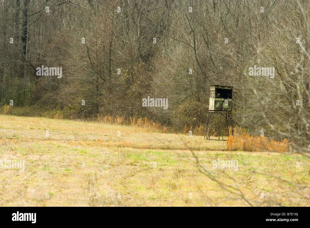 Deer stand and food plot Stock Photo - Alamy