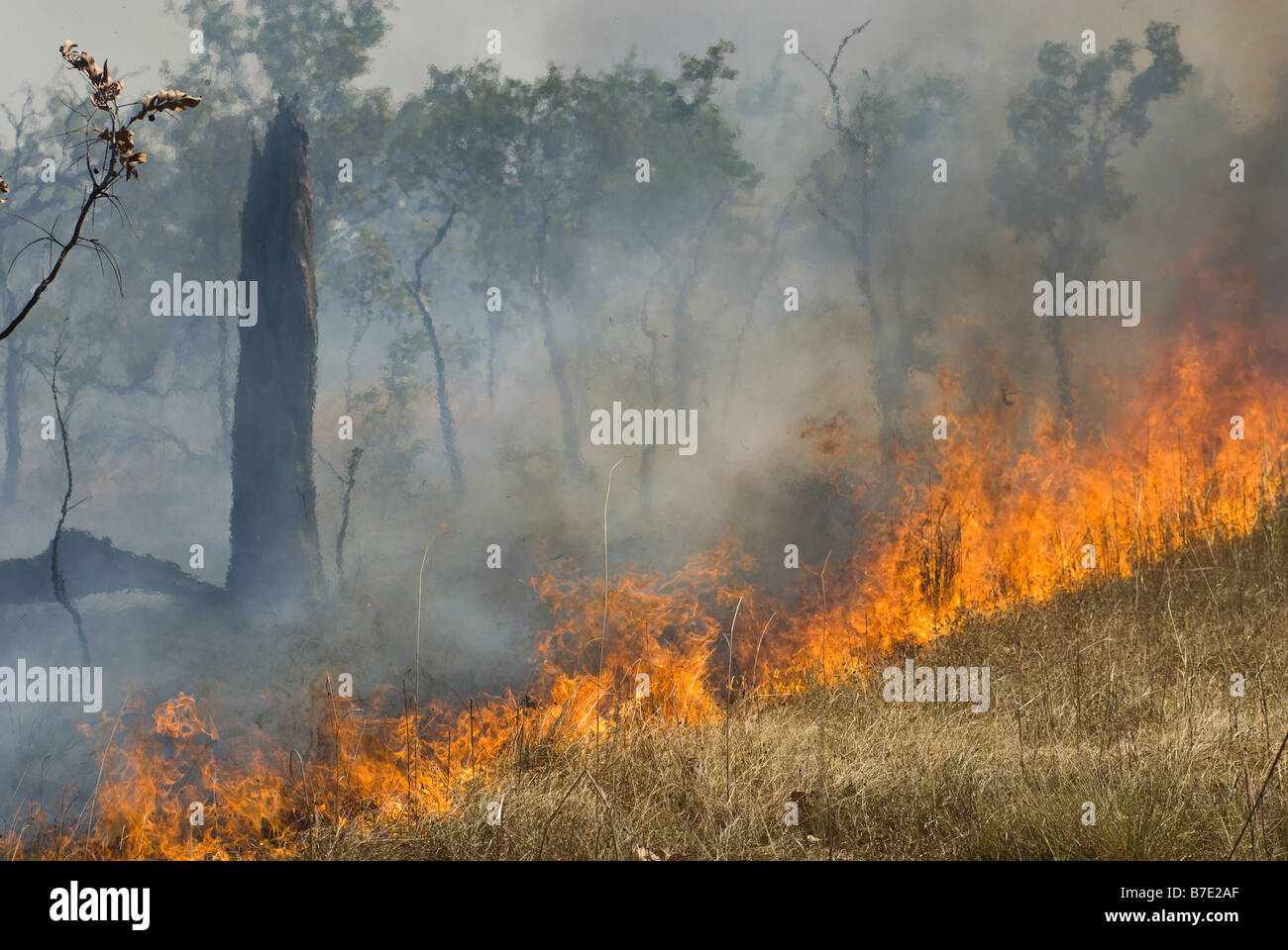 Bush fire at kakadu hi-res stock photography and images - Alamy