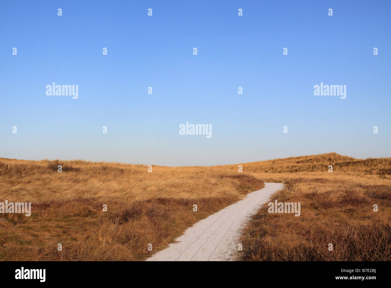 Dunes, road, and beach at Ringkobing, Hvide Sande, Denmark Stock Photo ...
