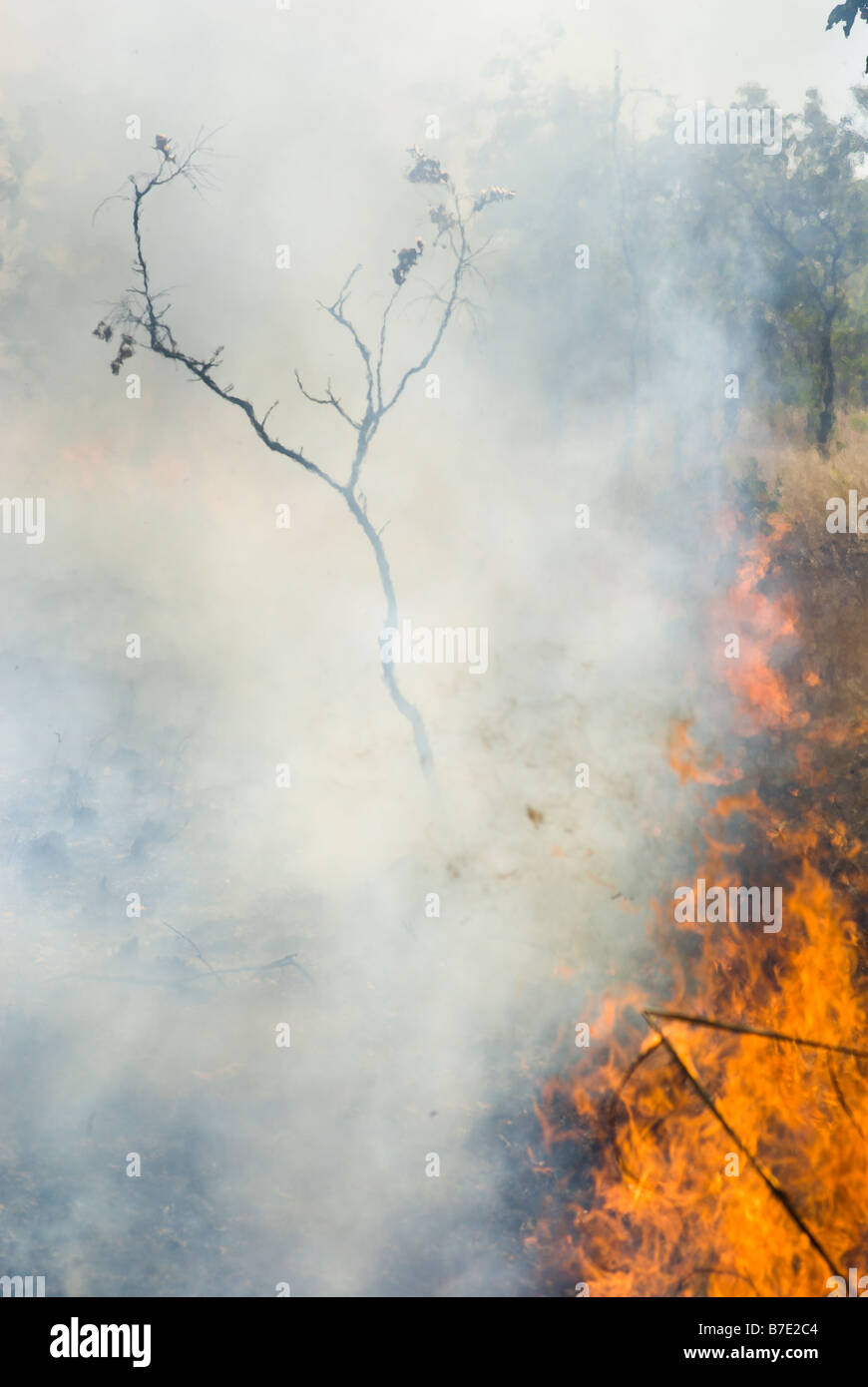 Controlled bush fire in Kakadu National Park Stock Photo - Alamy
