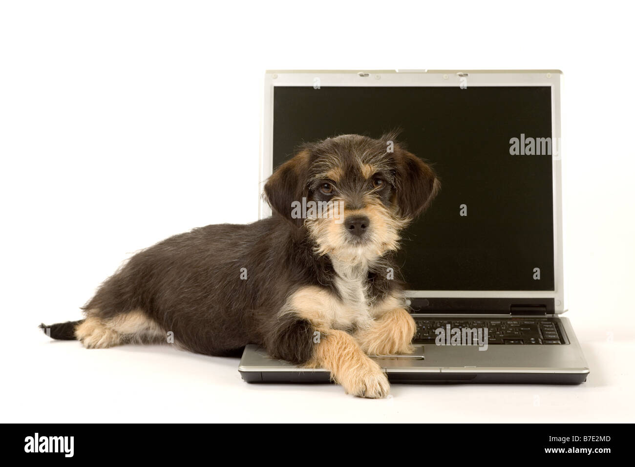 Laptop domestic Cut Out Stock Images & Pictures - Alamy