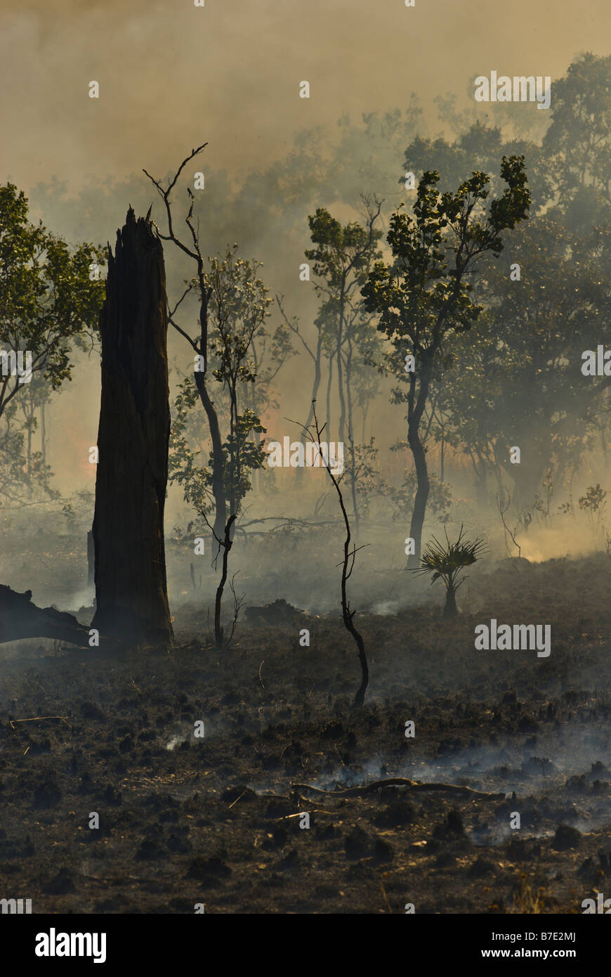 Controlled bush fire in Kakadu National Park Stock Photo - Alamy