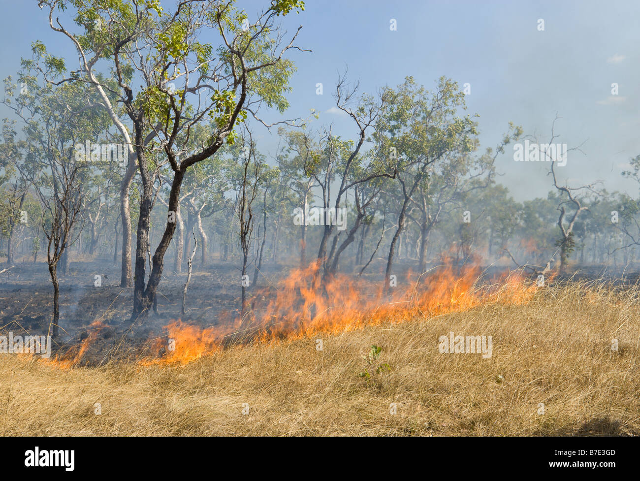 Controlled bush fire in Kakadu National Park Stock Photo - Alamy