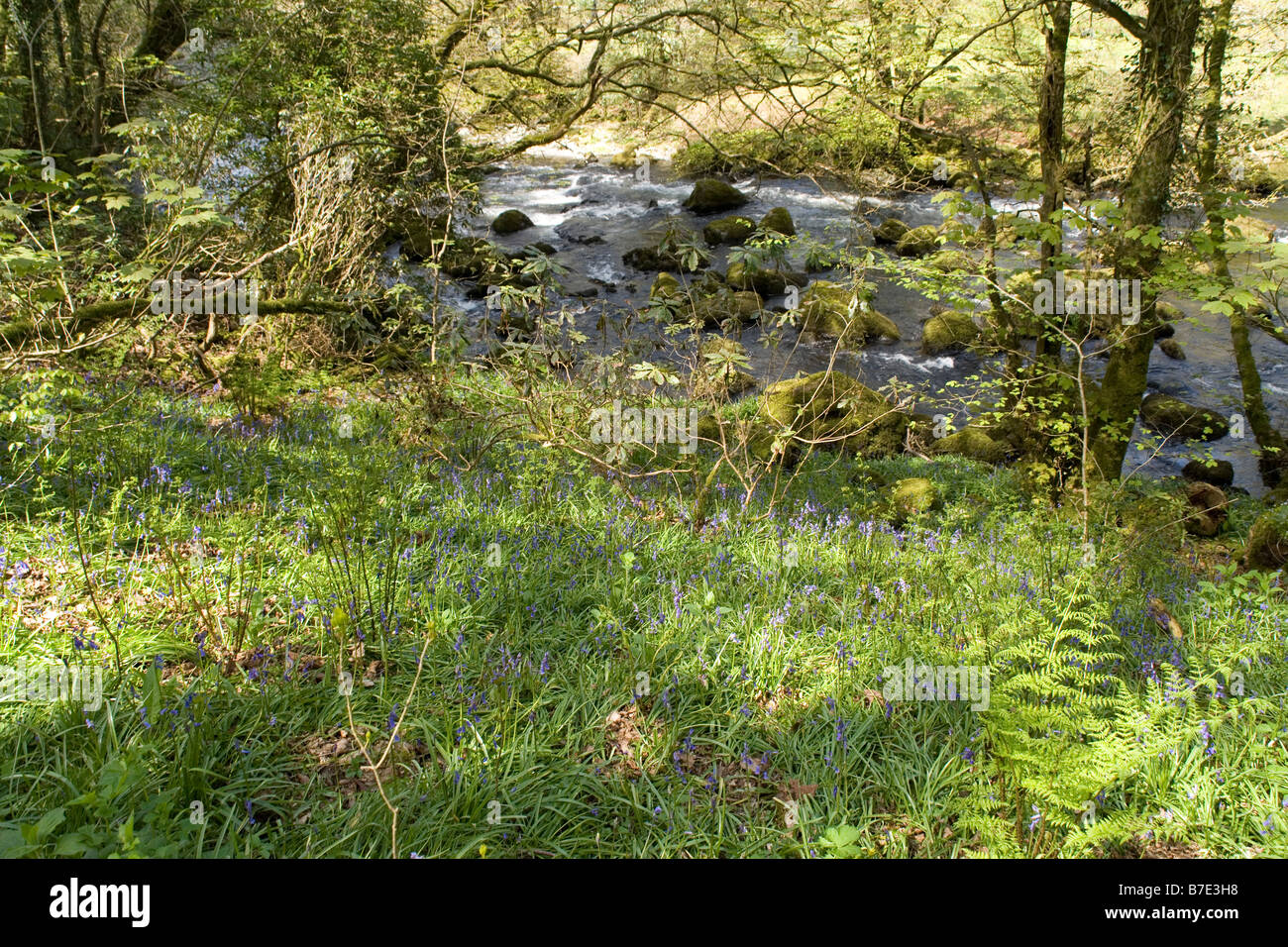 Afon dwyfor hi-res stock photography and images - Alamy