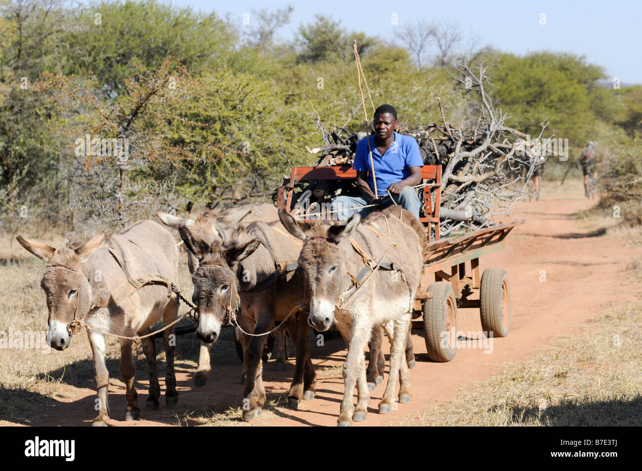 Donkey cart hi-res stock photography and images - Alamy
