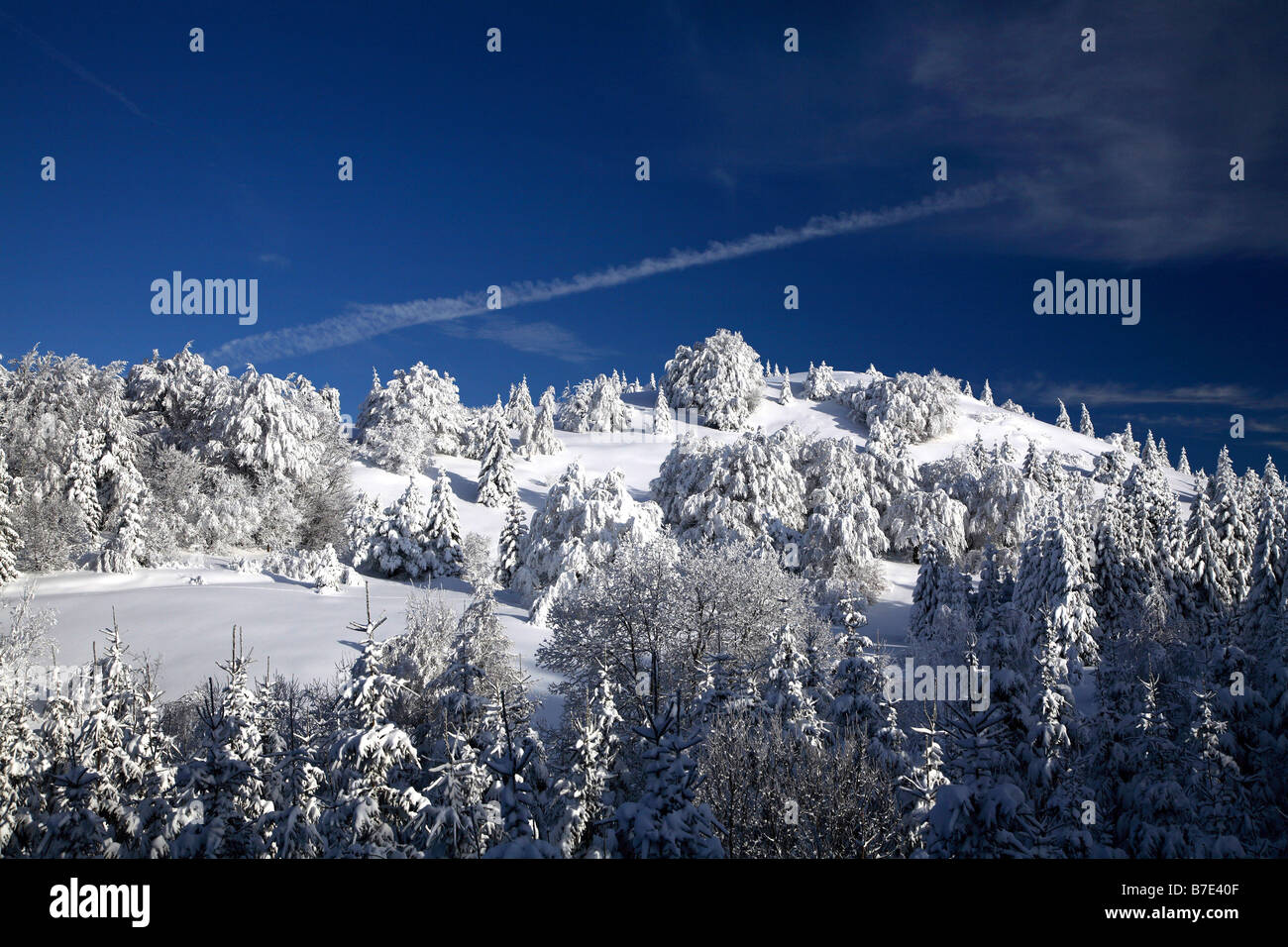 Winter landscape, Piana delle Viote, Bondone mountain, Trentino Alto ...