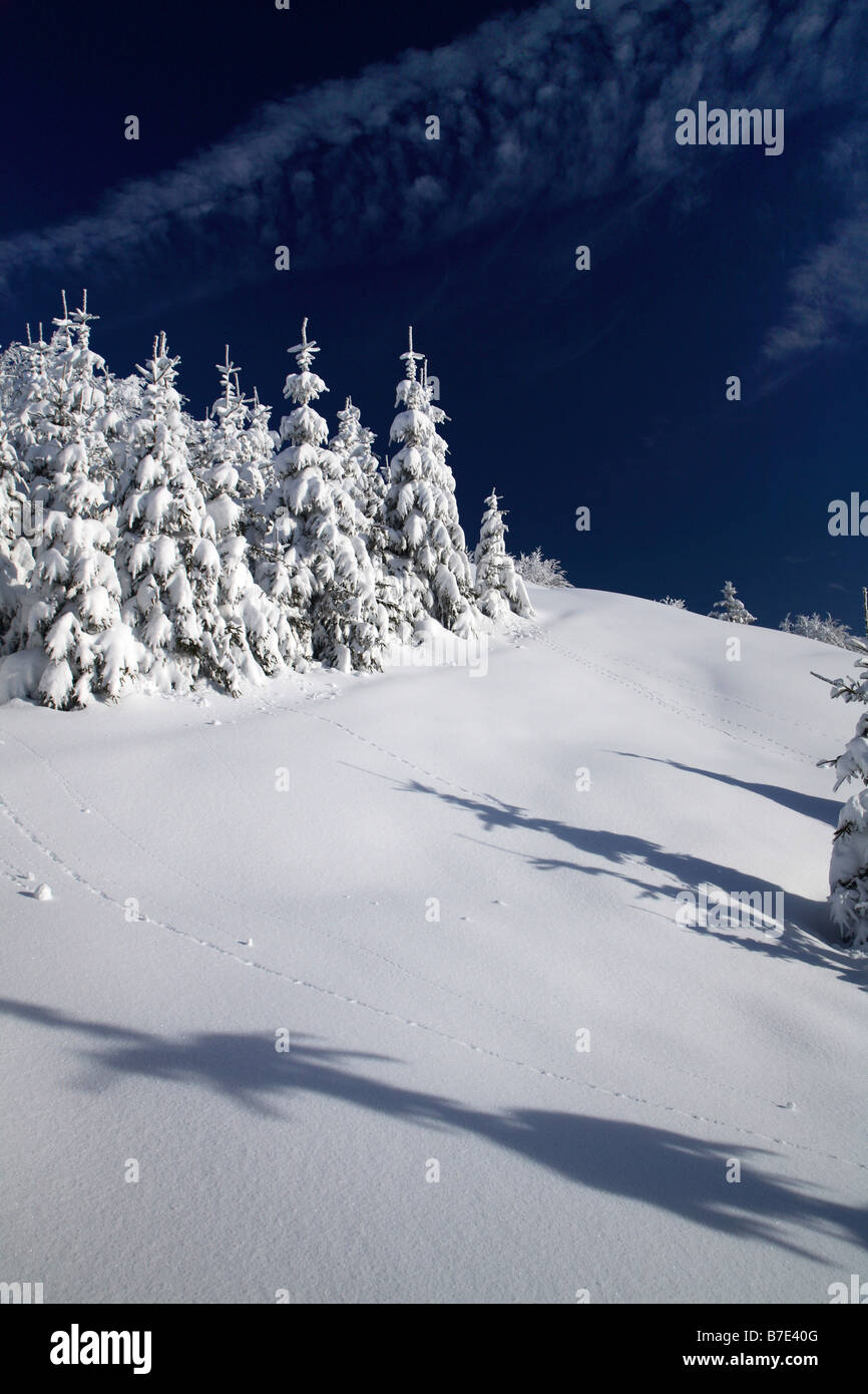 Winter landscape, Piana delle Viote, Bondone mountain, Trentino Alto ...