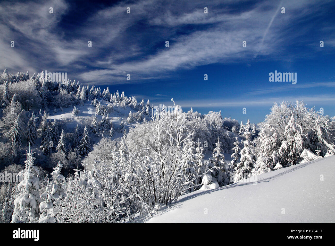 Winter landscape, Piana delle Viote, Bondone mountain, Trentino Alto ...
