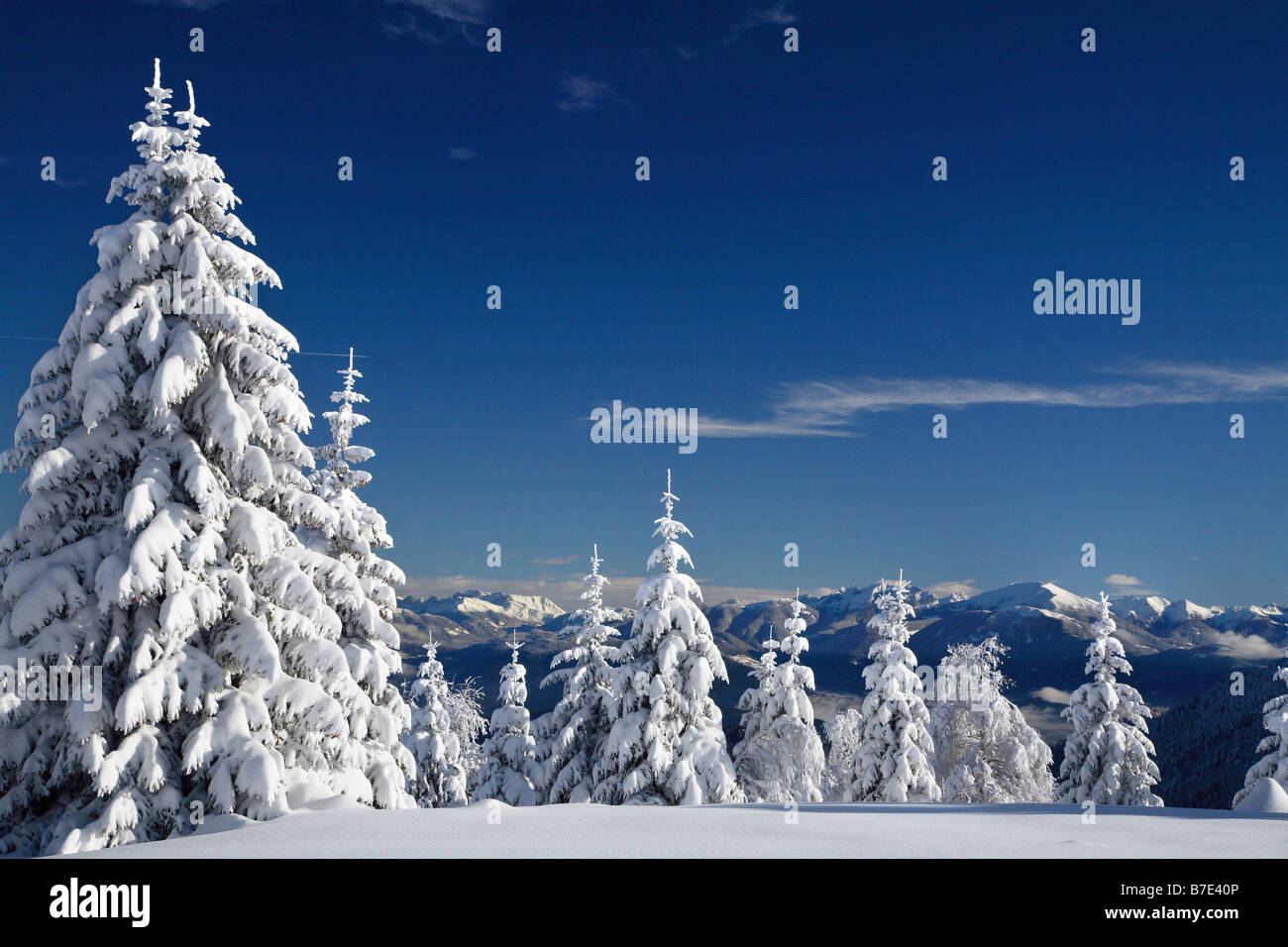 Winter landscape, Piana delle Viote, Bondone mountain, Trentino Alto ...