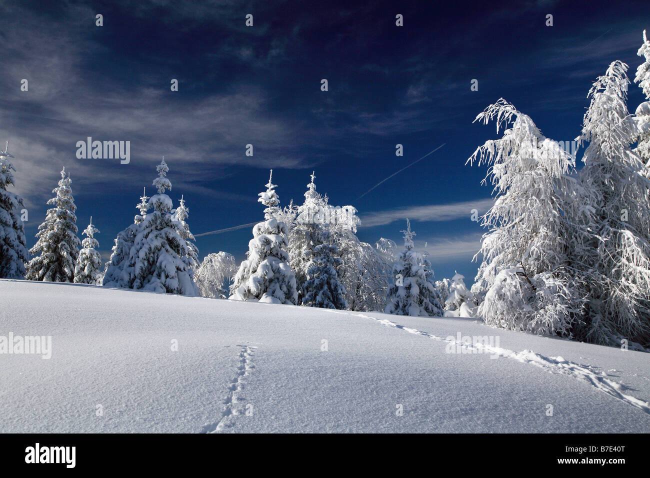 Winter landscape, Piana delle Viote, Bondone mountain, Trentino Alto ...