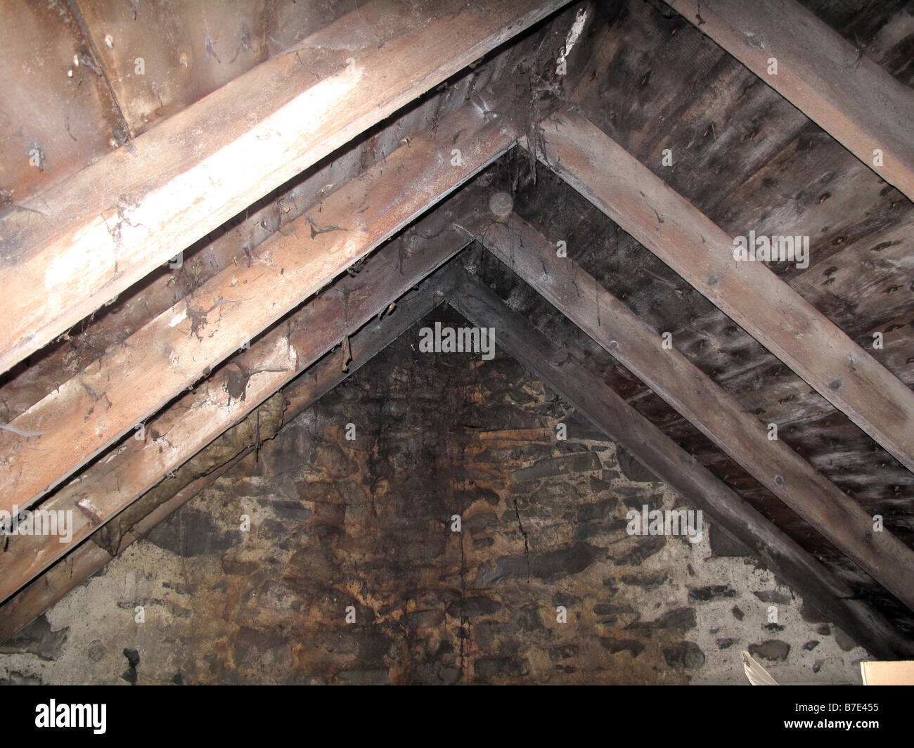Rafters in old roofspace Stock Photo - Alamy