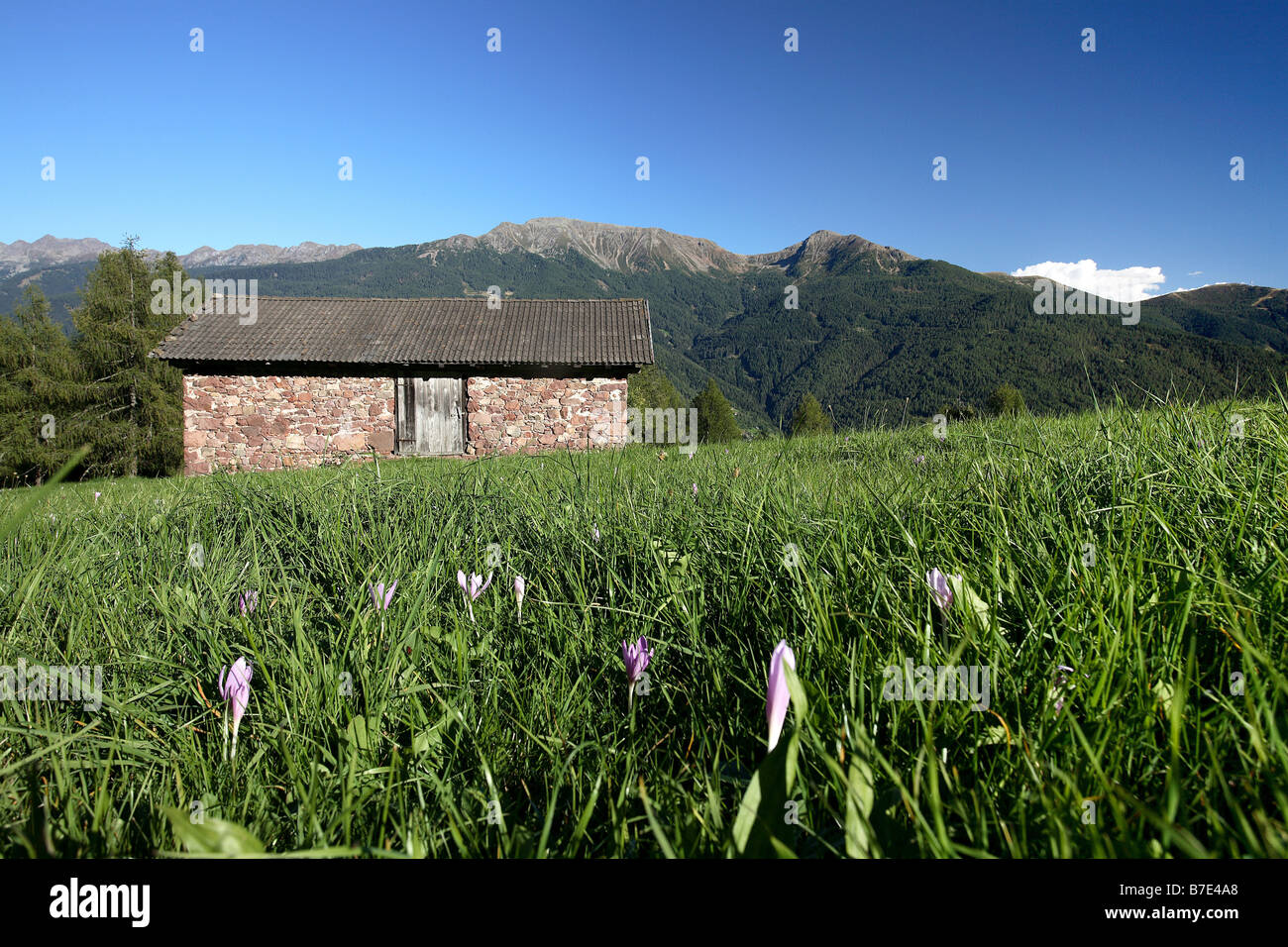 Valle dei mocheni hi-res stock photography and images - Alamy