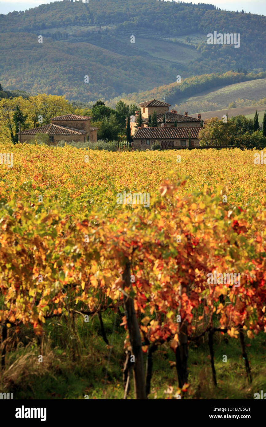 Chianti zone hi-res stock photography and images - Alamy
