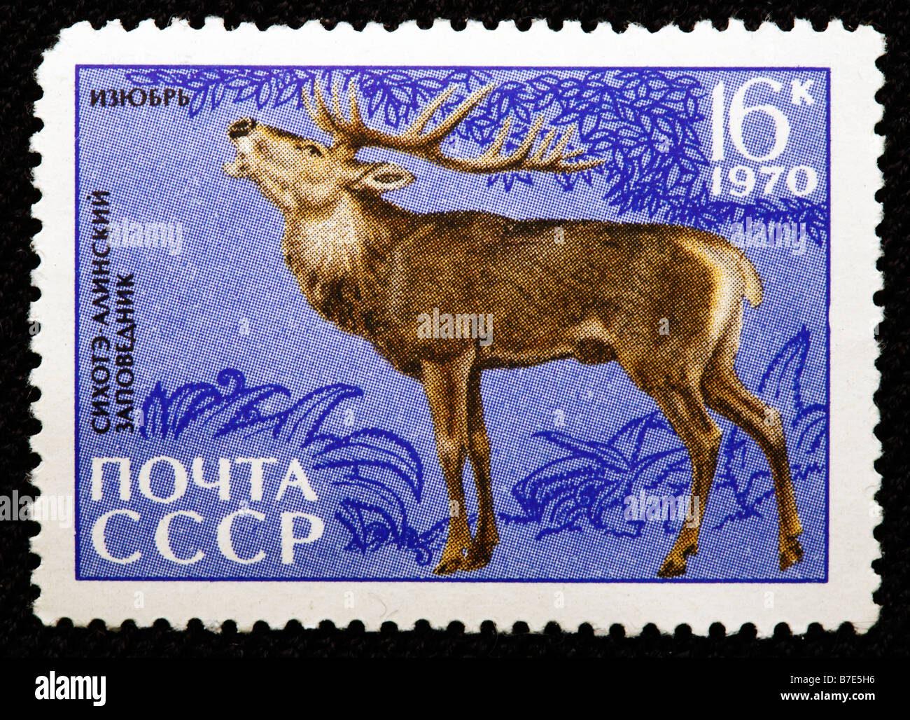 Deer postage stamp hi-res stock photography and images - Alamy