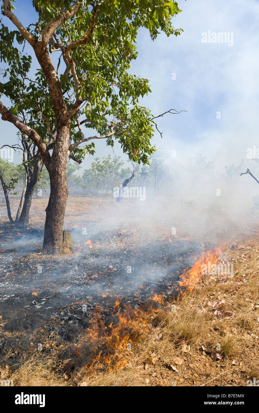 Controlled bush fire in Kakadu National Park Stock Photo - Alamy