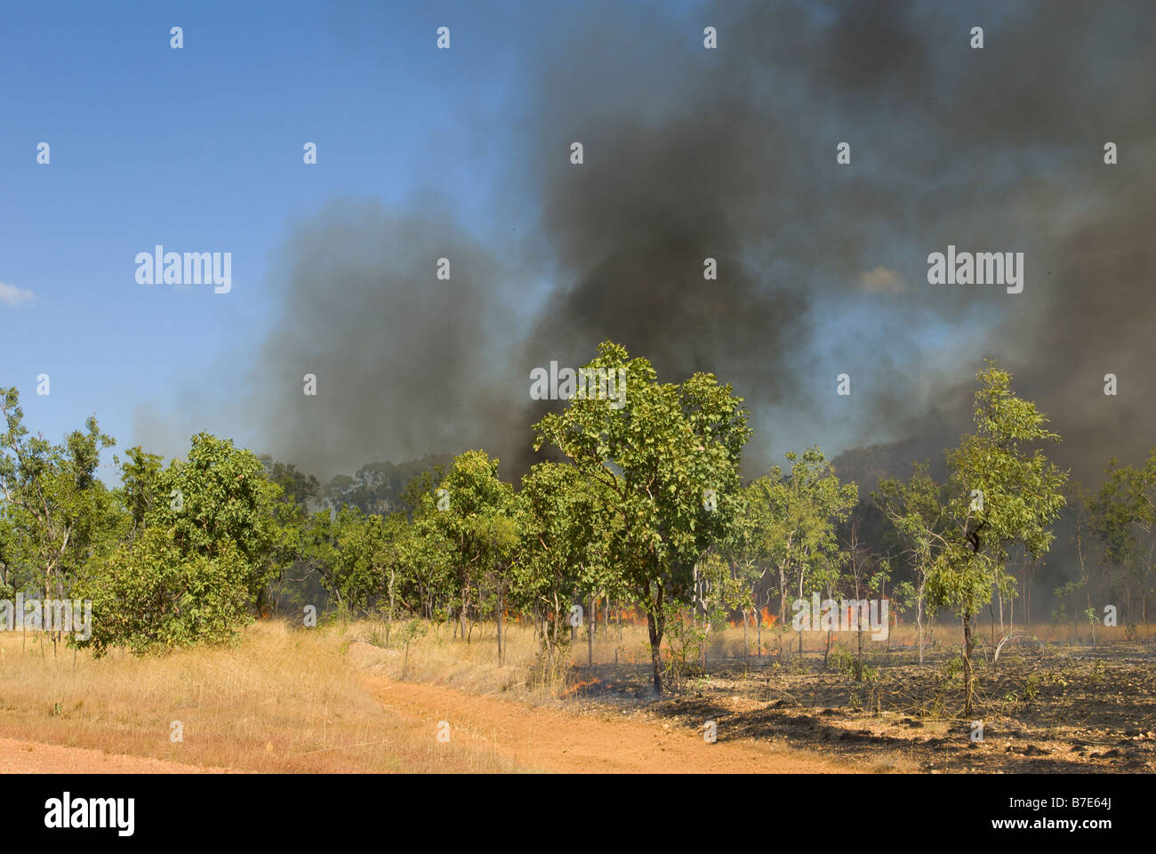 Controlled bush fire in Kakadu National Park Stock Photo - Alamy