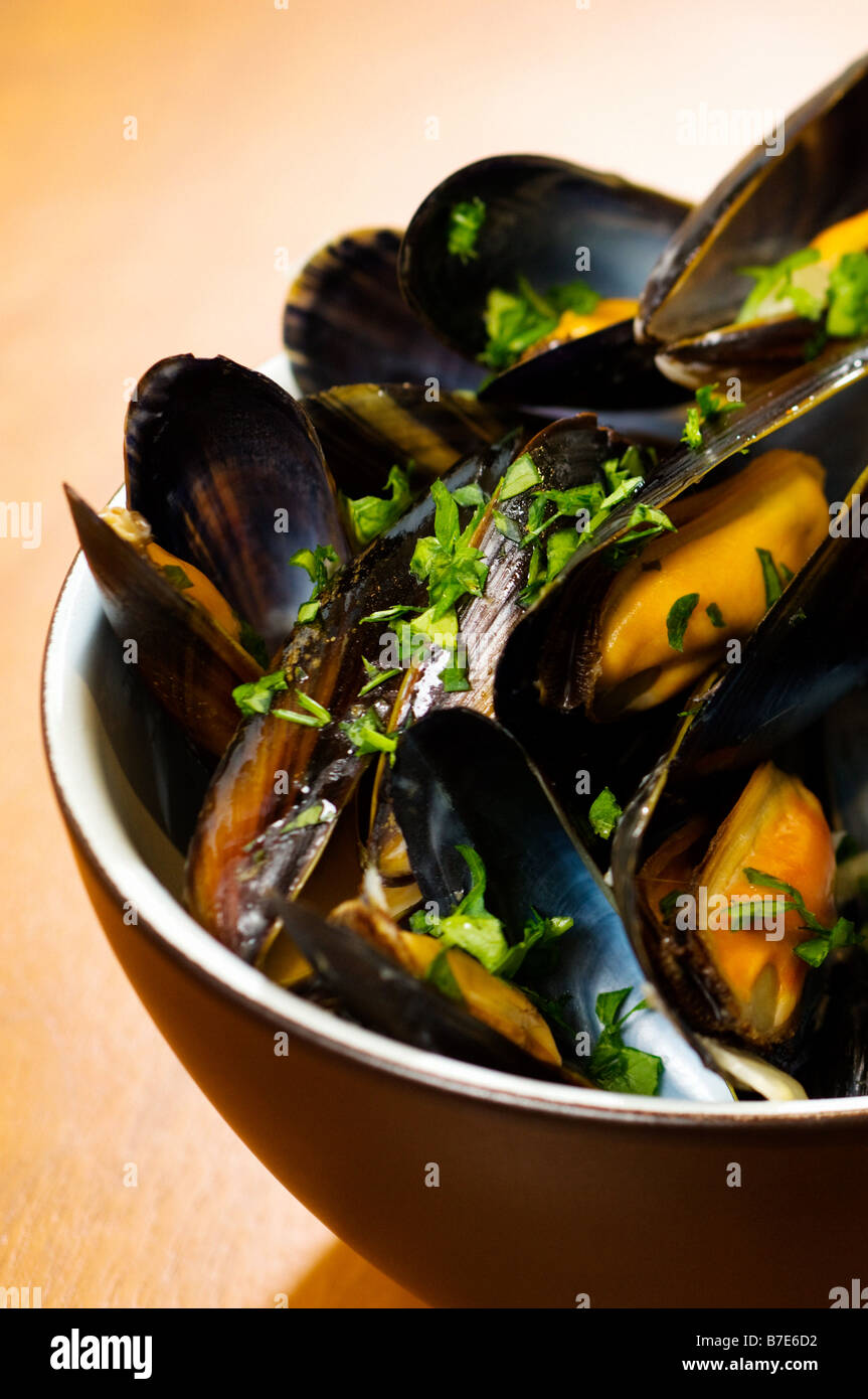 Mussels in a bowl Stock Photo - Alamy