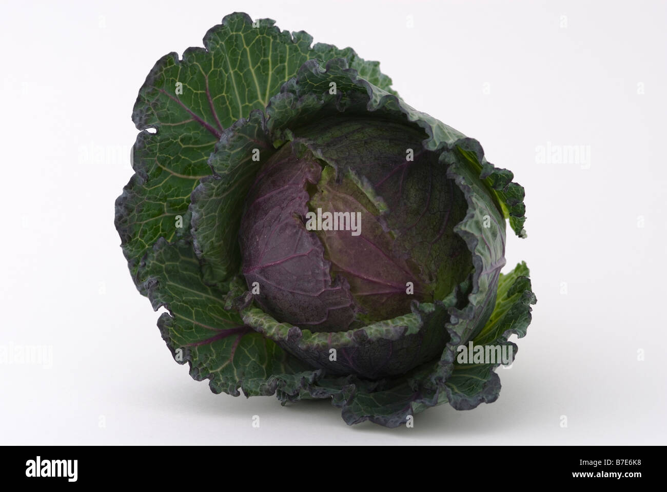 King cabbage hi-res stock photography and images - Alamy