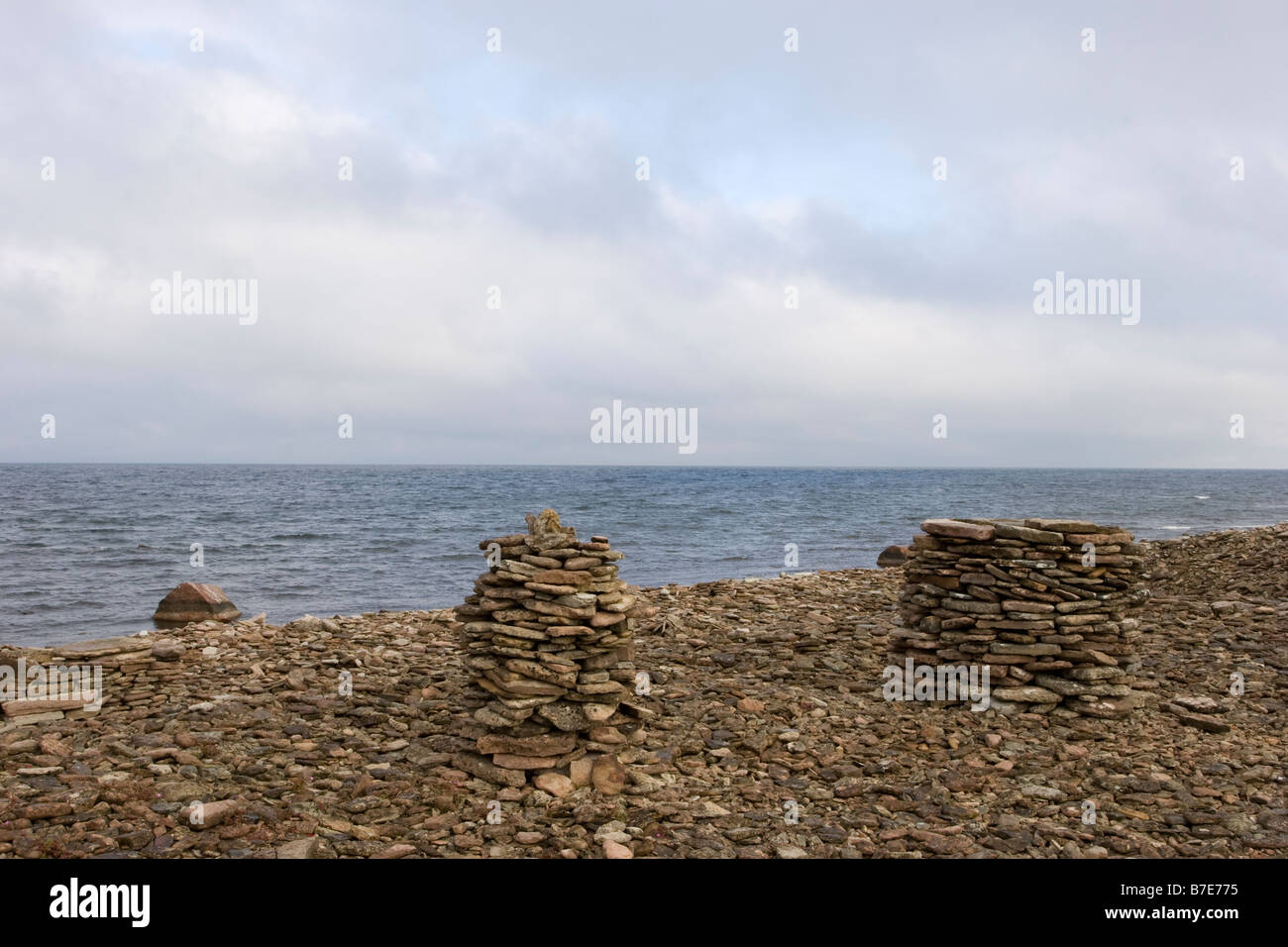 Stenhog hi-res stock photography and images - Alamy