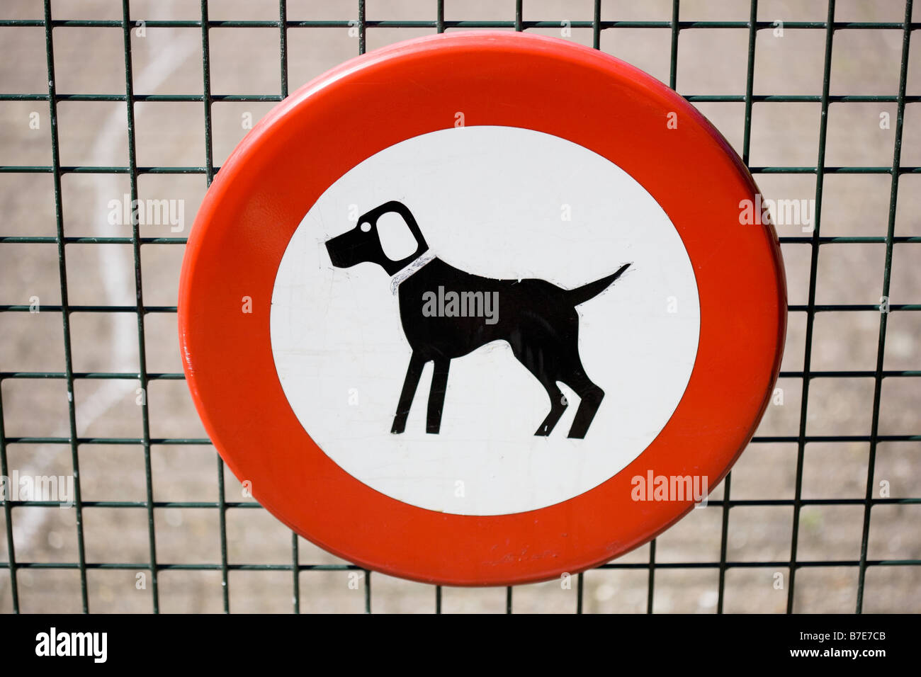 Dog on a sign Stock Photo - Alamy
