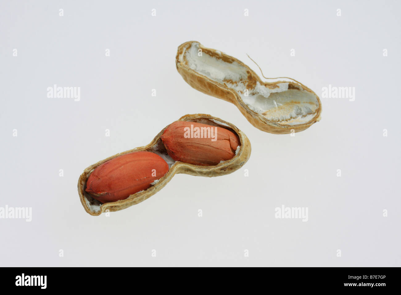 clip image cracked shell of roasted peanut Stock Photo - Alamy