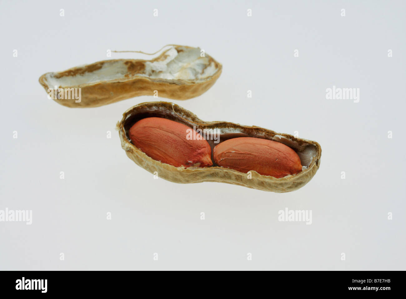 clip image cracked shell of roasted peanut Stock Photo - Alamy