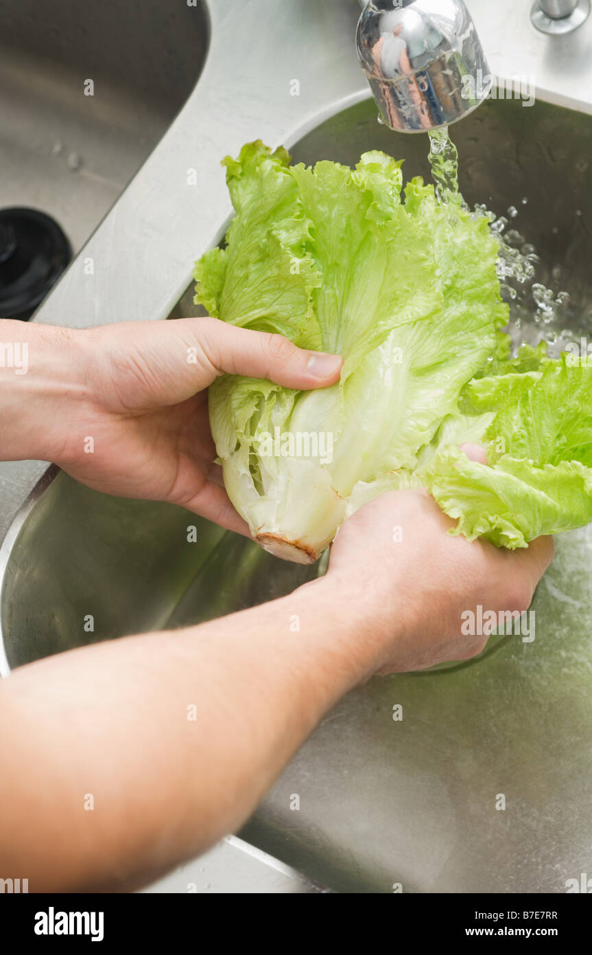 Washing lettuce hi-res stock photography and images - Alamy