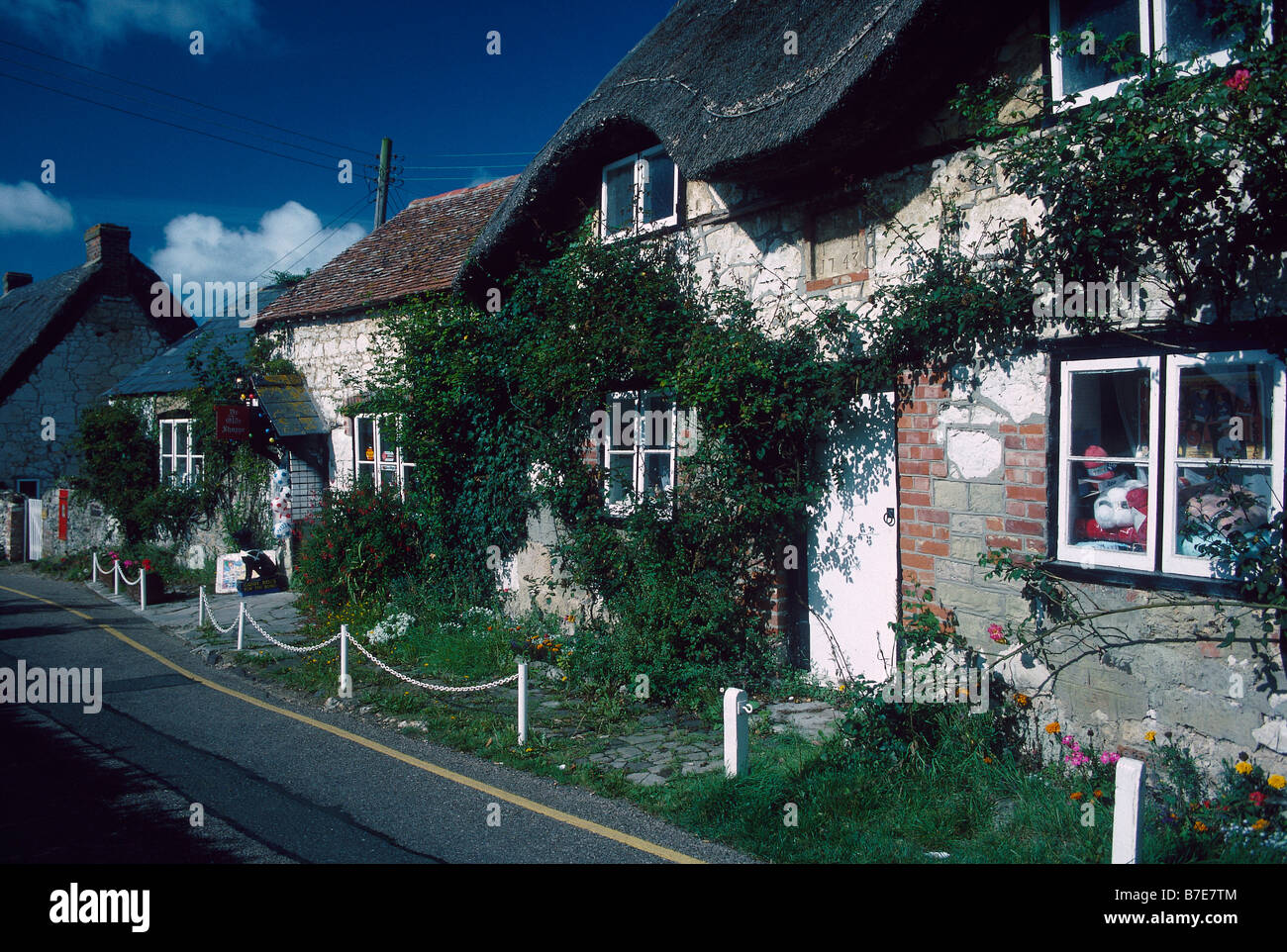 Thatched cottages Shop front Climbing plants on walls BRIGHTSTONE ISLE ...