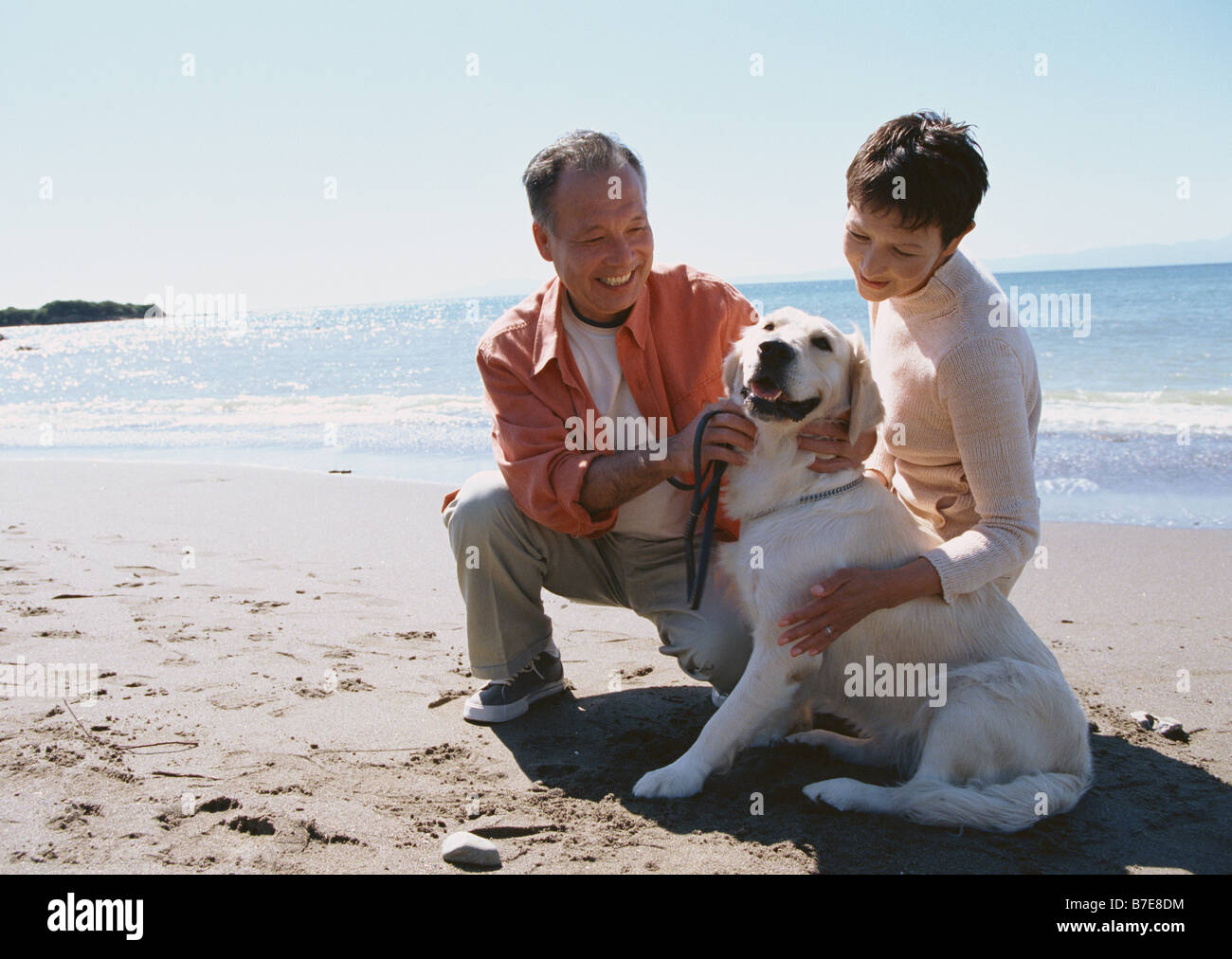 Walk with Dog Stock Photo - Alamy