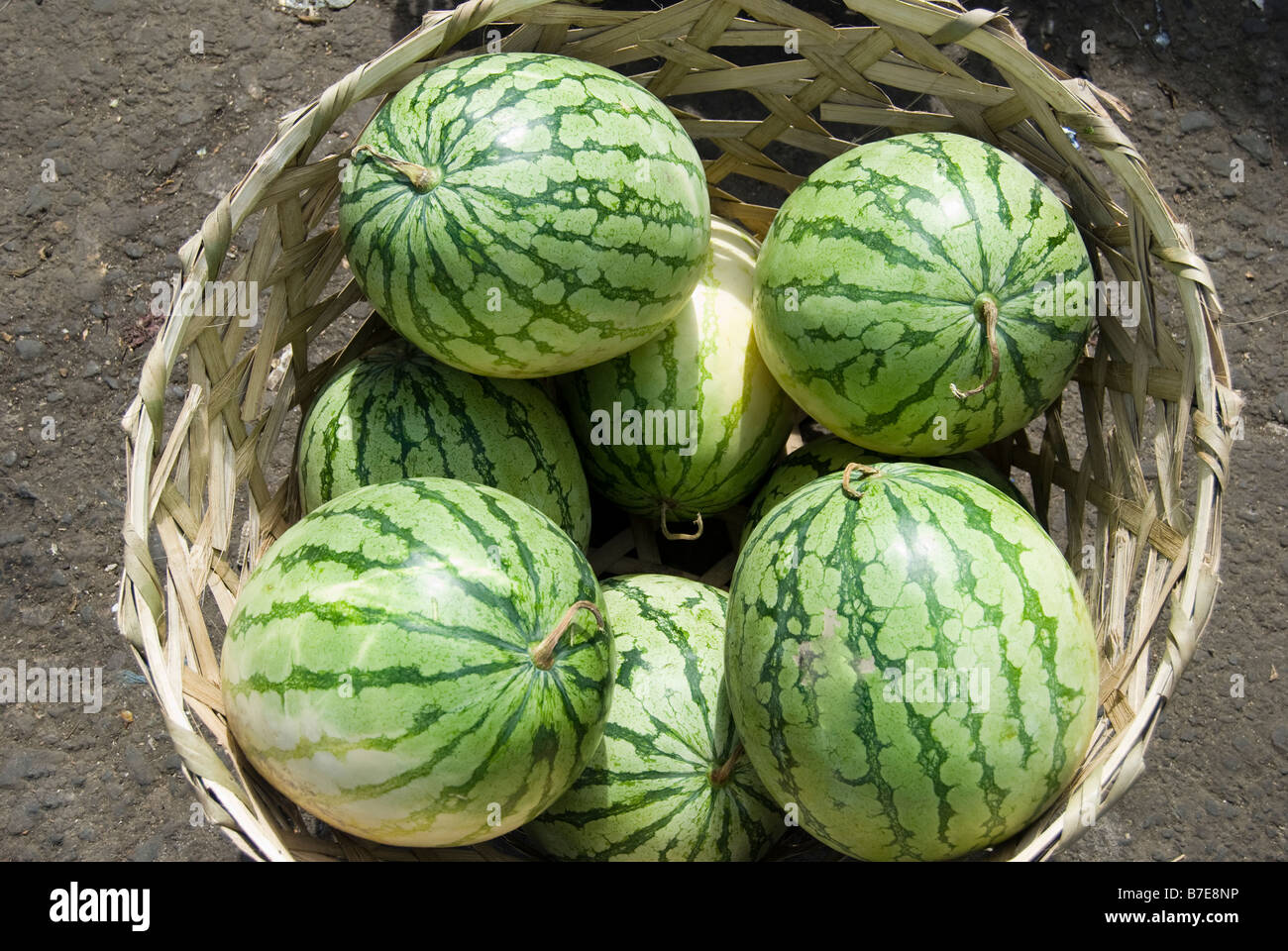 Basket full of water melons, Carbon Market, Downtown Cebu City, Cebu ...