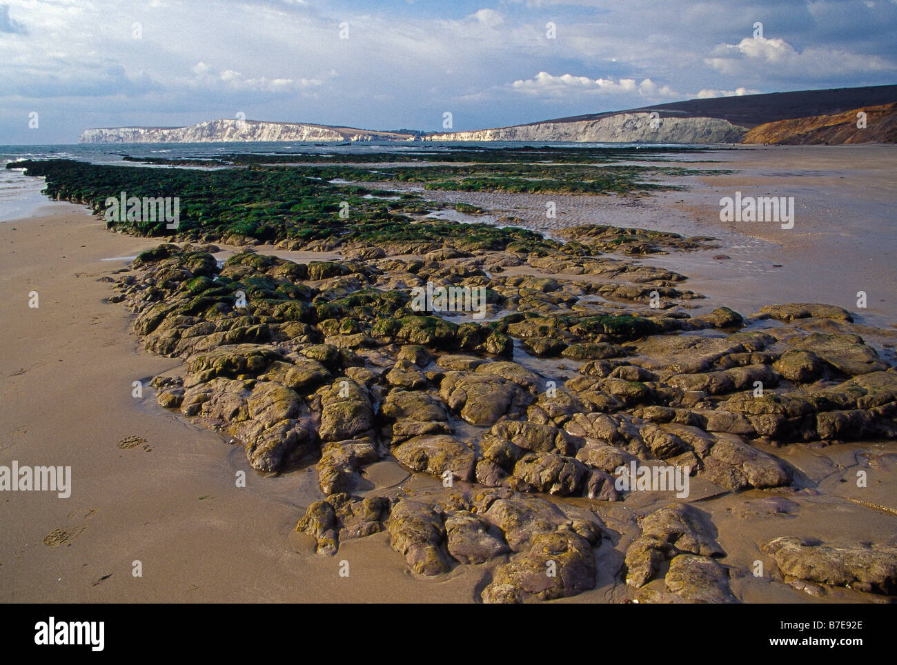 View along coast cliffs Beach Cliffs COMPTON BAY ISLE OF WIGHT ENGLAND ...