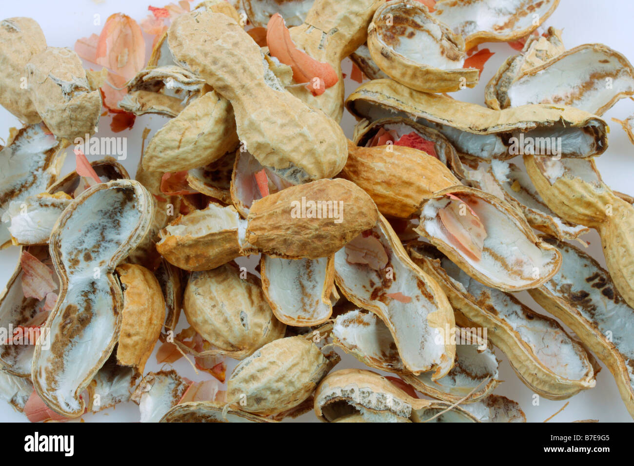 cracked shells of roasted peanuts Stock Photo - Alamy