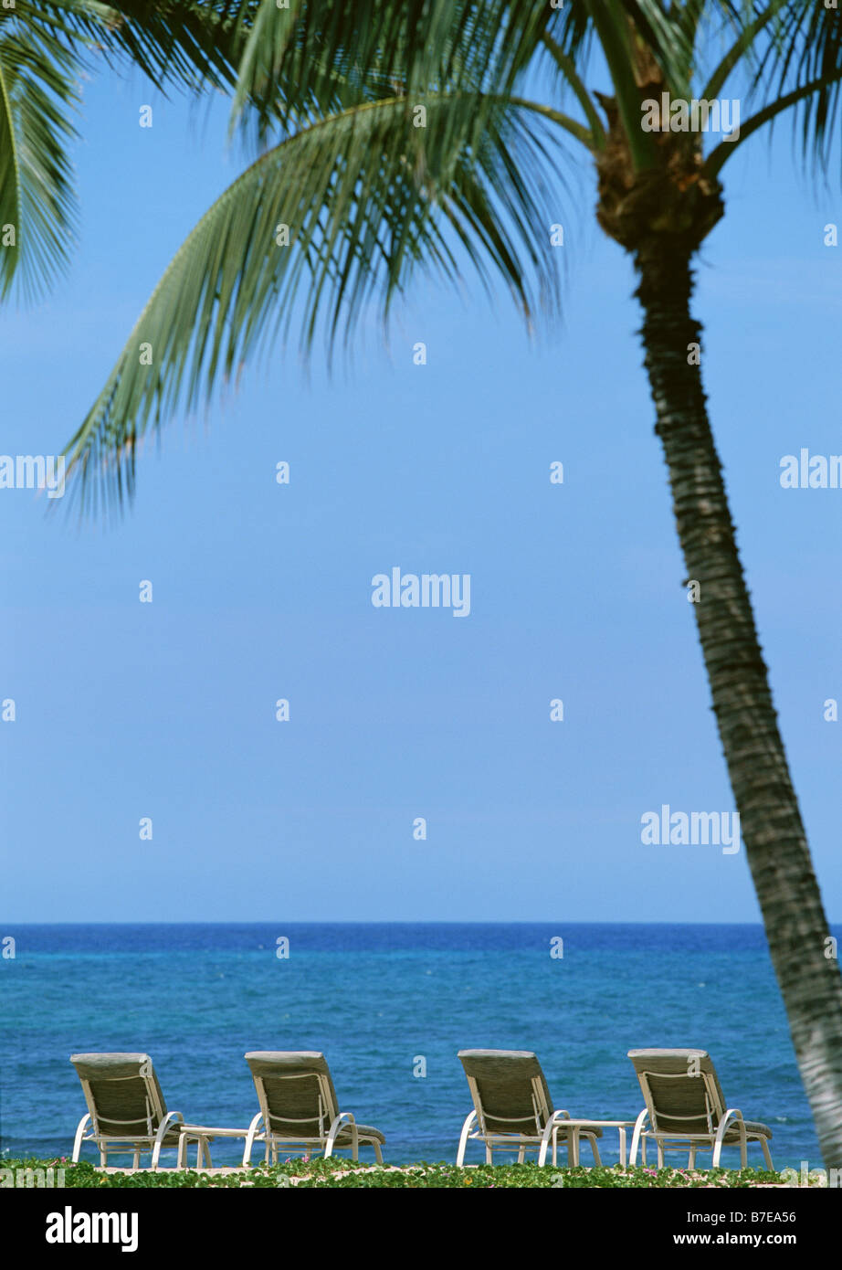 Singular and plural hi-res stock photography and images - Alamy