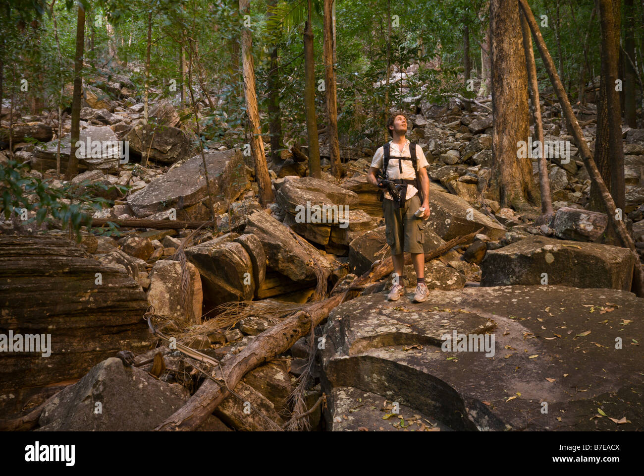 Monsoon forest hi-res stock photography and images - Alamy