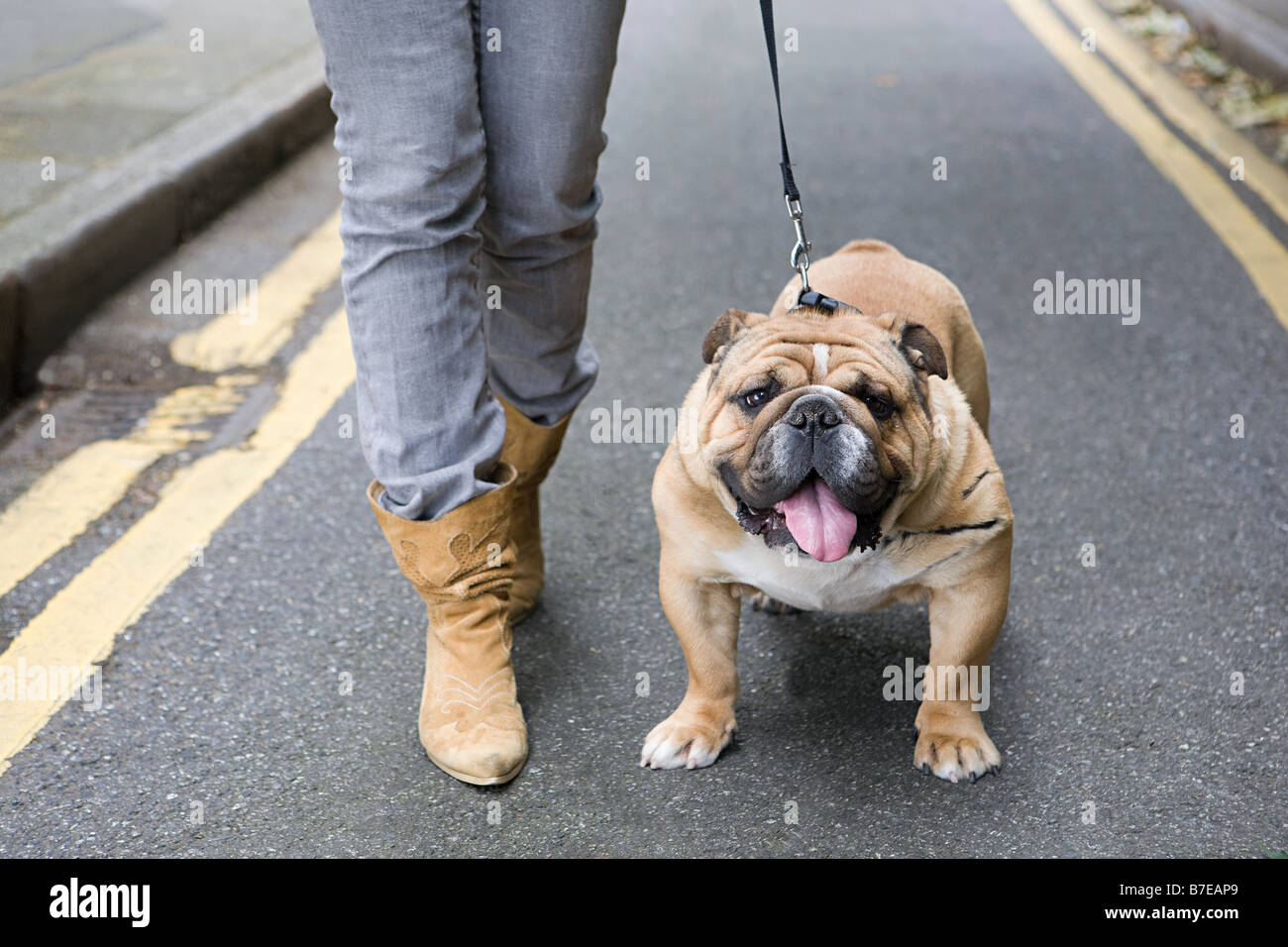 Single owner hi-res stock photography and images - Alamy