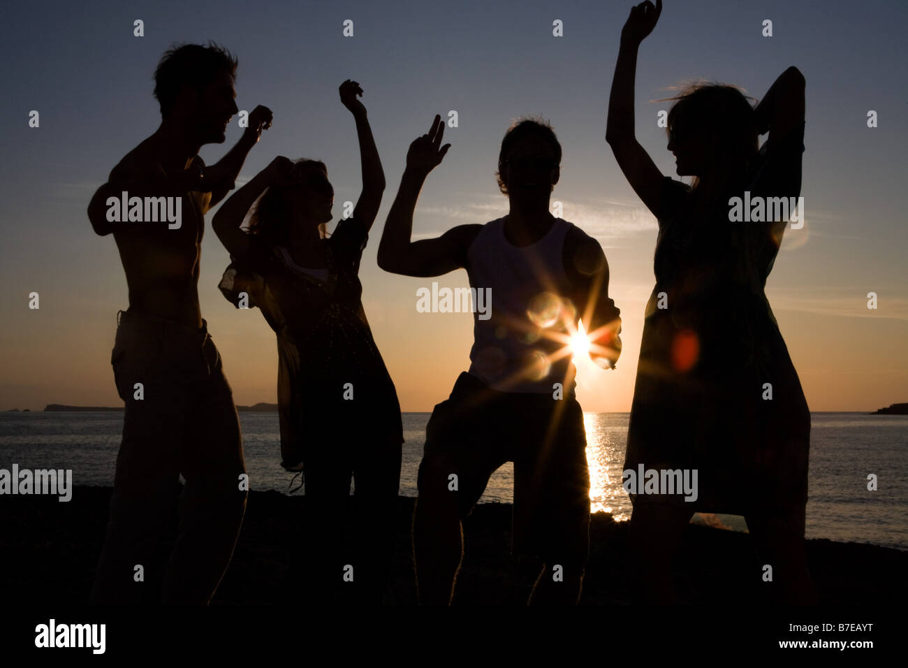 Friends partying on beach Stock Photo - Alamy