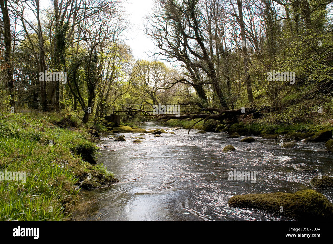 The Afon ( river) Dwyfor river valley in springtime near Criccieth in ...