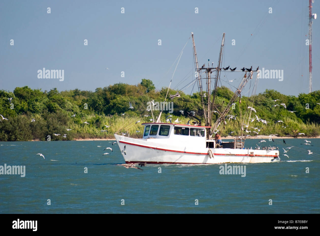 Birds flying around fishing boat hi-res stock photography and images ...