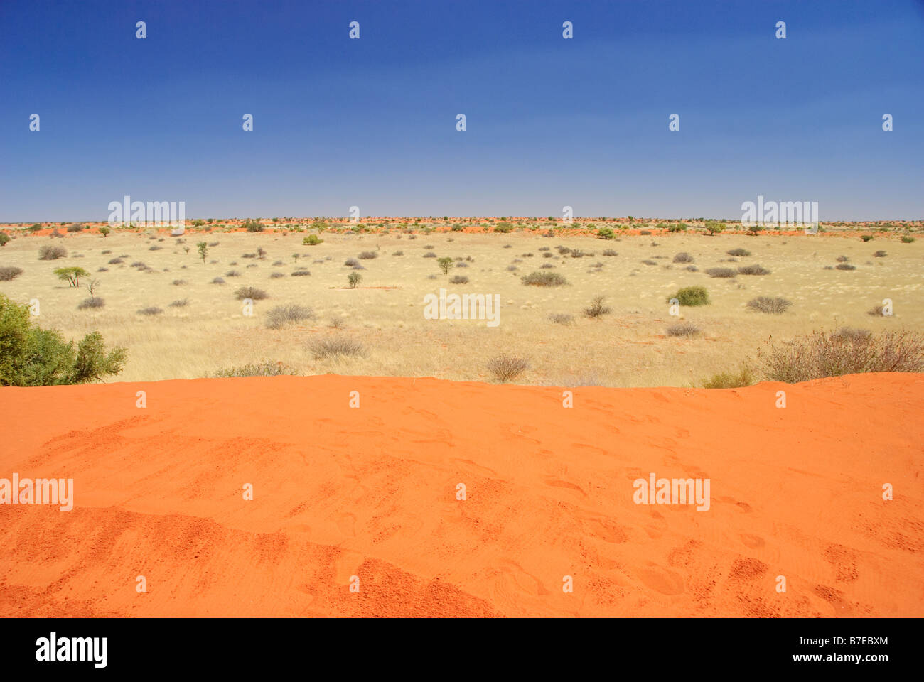 Kalahari landscape, Namibia Stock Photo - Alamy