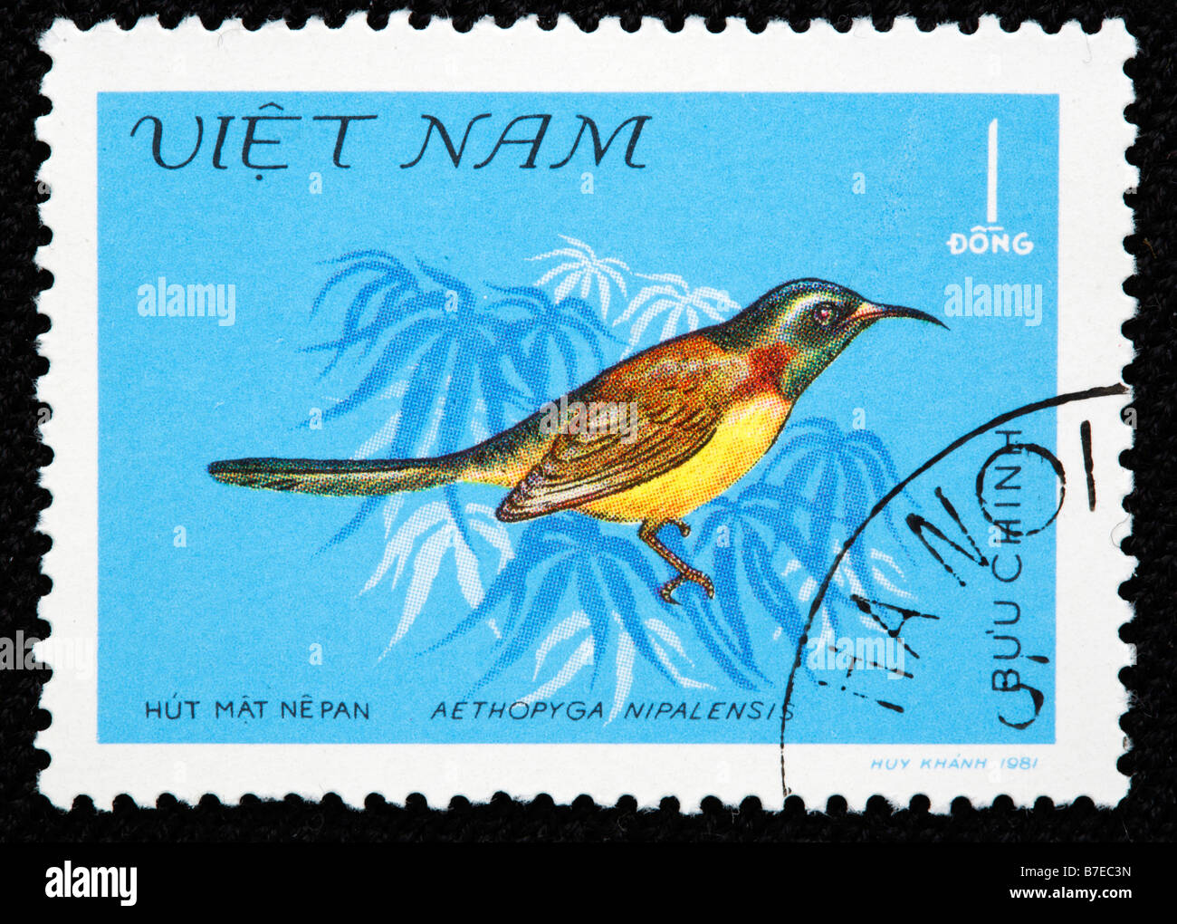 Green tailed Sunbird, Aethopyga nipalensis Nectariniidae, postage stamp ...