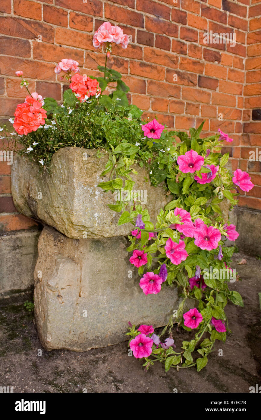 Stone Trough filled with pink Pertunias and geraniums Stock Photo - Alamy