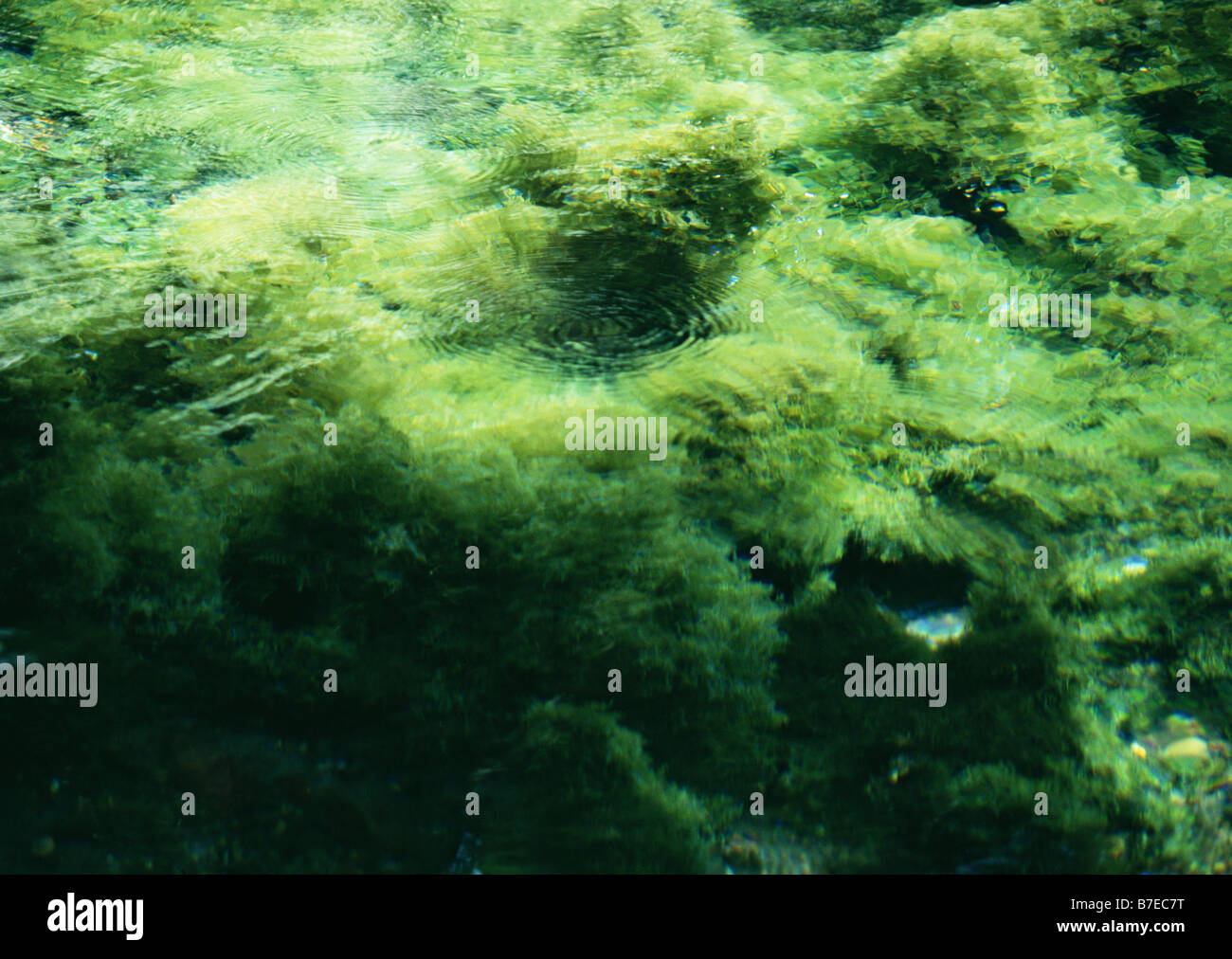 Surface of River Stock Photo - Alamy