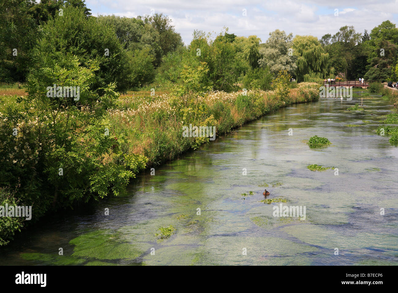 Bibury Bridge High Resolution Stock Photography and Images - Alamy