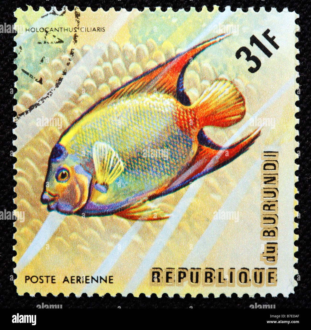 Queen Angelfish, Holacanthus ciliaris, Atlantic ocean, fish, postage ...