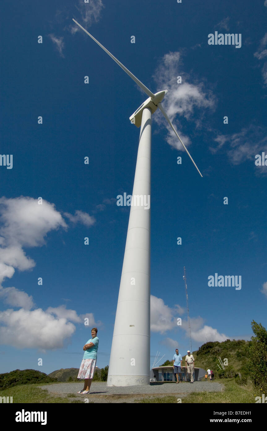 Wind Turbine in Wellington, New Zealand Stock Photo - Alamy
